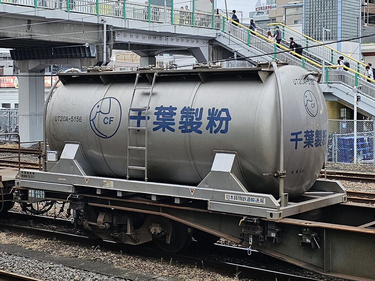 レアモノ集2025年